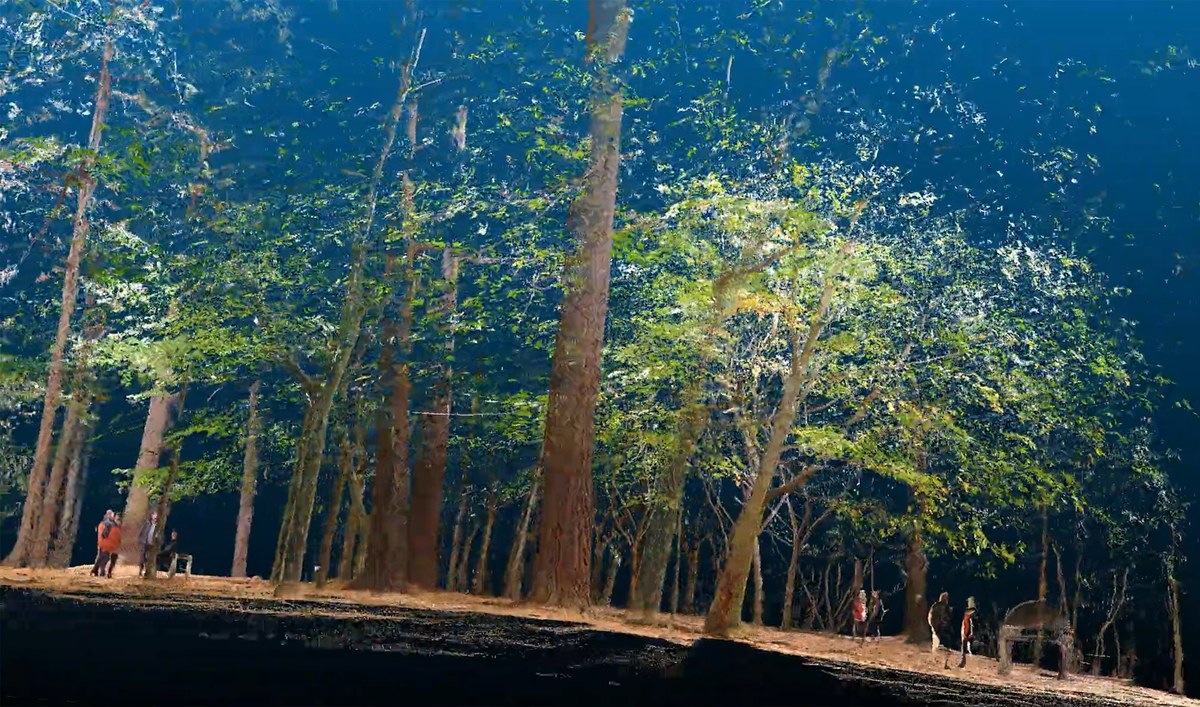 Bizia zaintzen - El bosque. Biodiversidad. Vida — Cultura